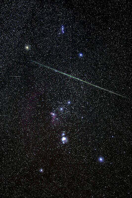 Leoniden Sternschnuppe im Sternbild Orion