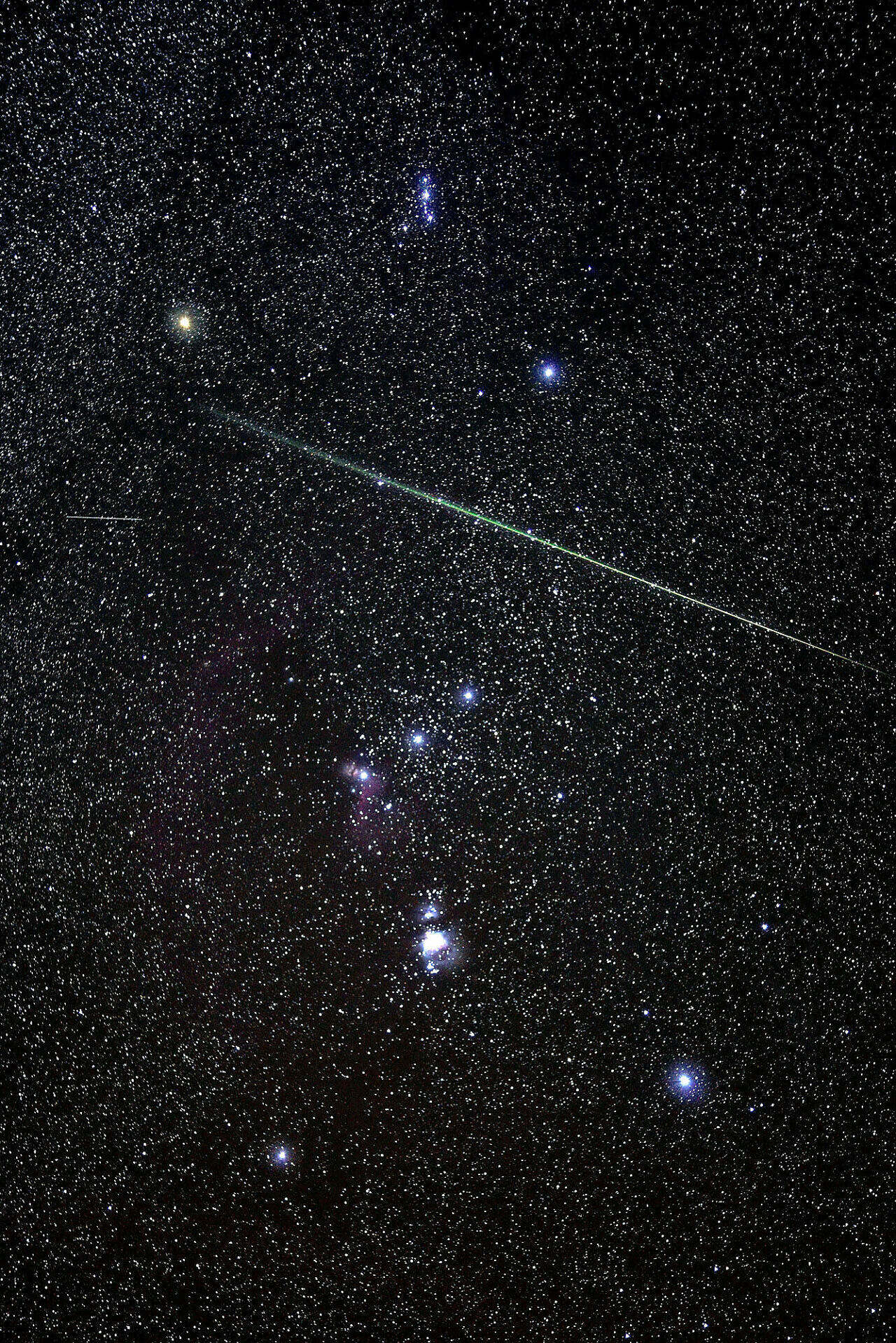 Leonid shooting star in the Orion constellation